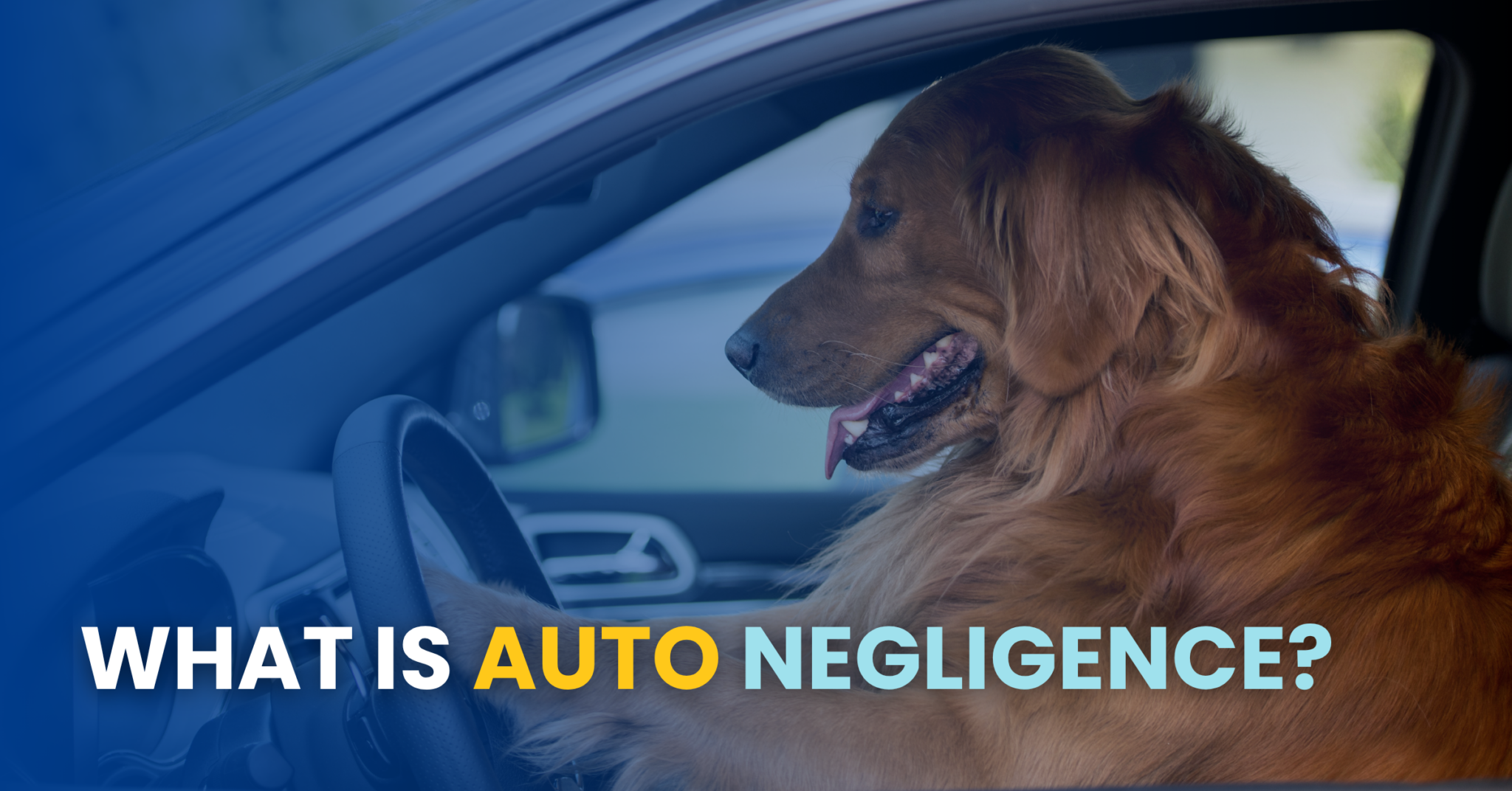 What Is Auto Negligence: Here's What To Know